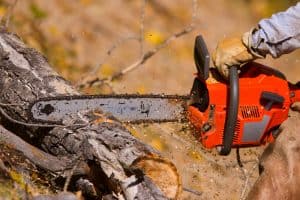 Arborist Tools and Equipment - TreeCareHQ
