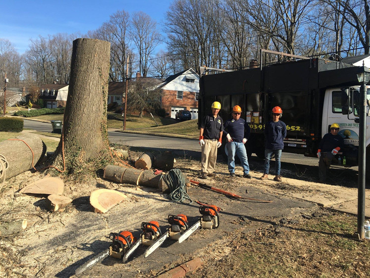 FM Garden and Trees - Fairfax, Virginia - TreeCareHQ