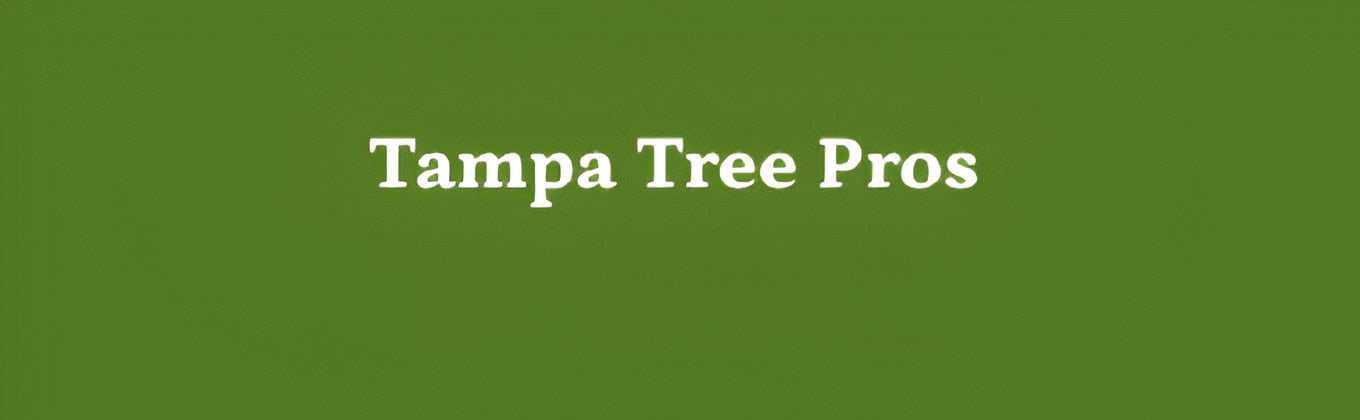Tampa Tree Pros - Tampa, Florida - TreeCareHQ