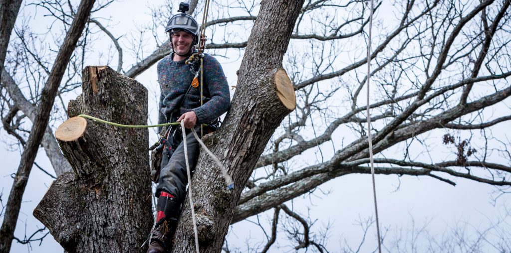 Find Tree Services Near Me - TreeCareHQ.com - Tree Company Directory