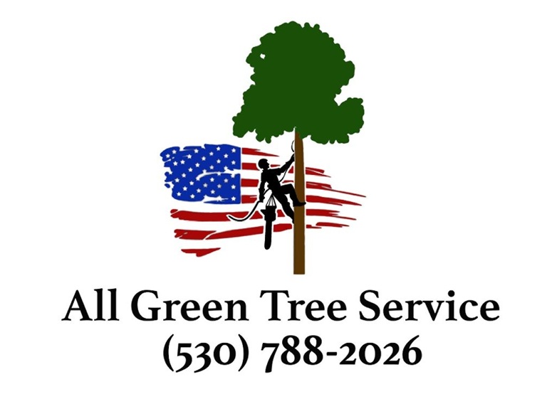 TreeCareHQ - Tree Service Directory - U.S. Arborists