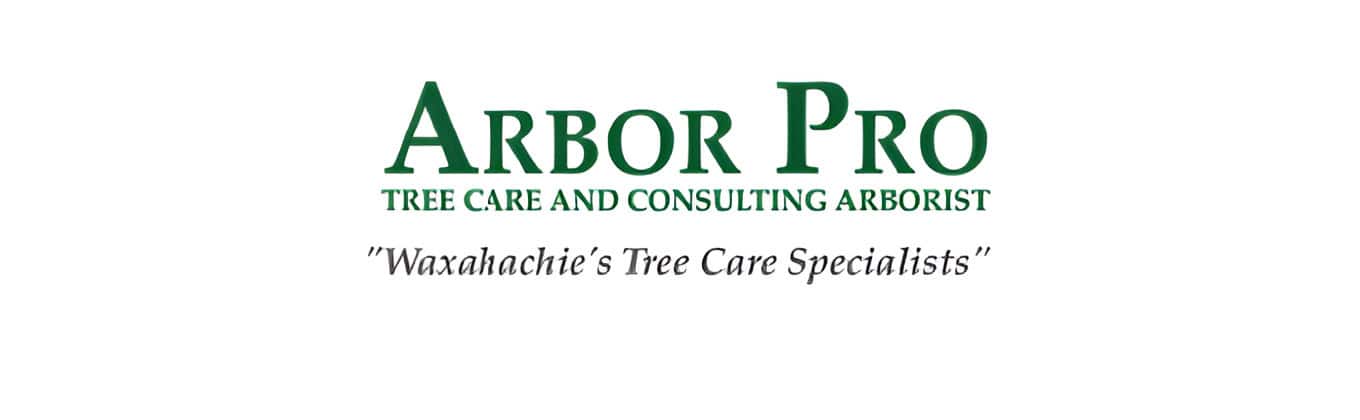 Arbor Pro Tree Care and Consulting Arborist - Waxahachie, Texas ...