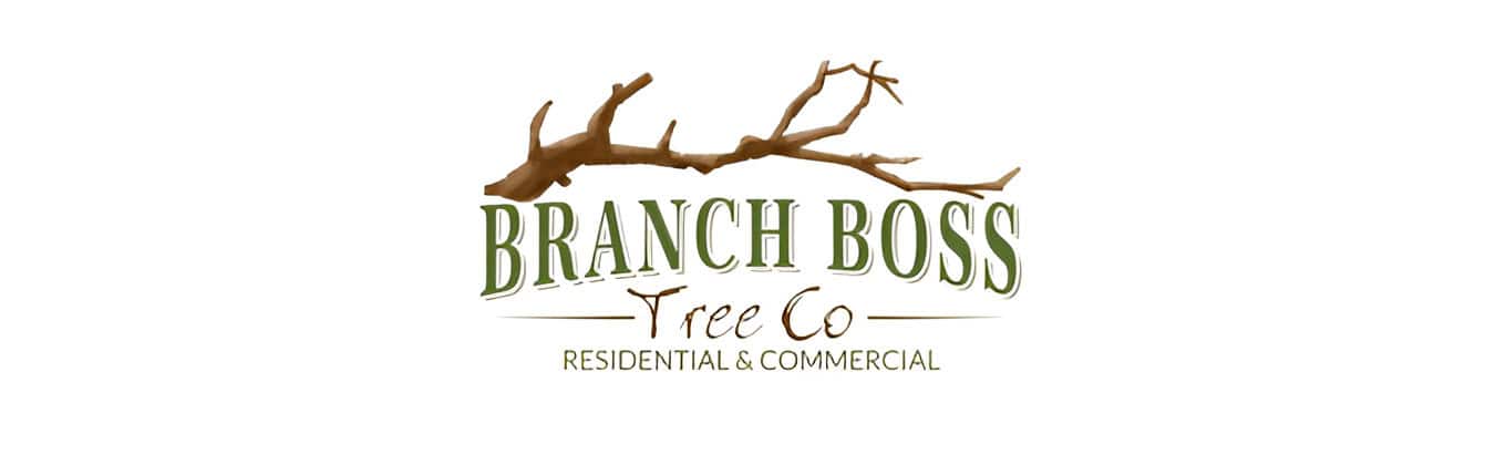 BRANCH BOSS TREE CO - Cleburne, Texas - TreeCareHQ