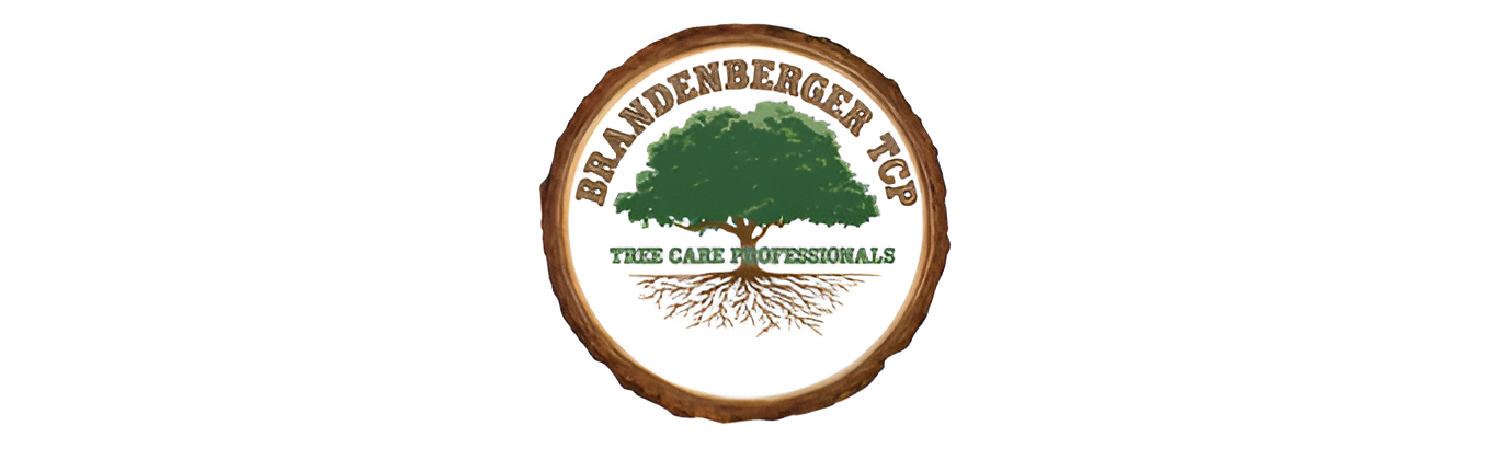 Tree Service Directory - TreeCareHQ