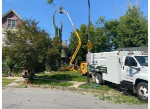 Buffalo Tree Service - Buffalo, New York - TreeCareHQ