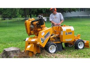 Buffalo Tree Service - Buffalo, New York - TreeCareHQ