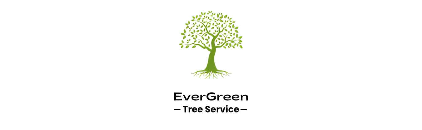 EverGreen Tree Service - Eugene, Oregon - TreeCareHQ