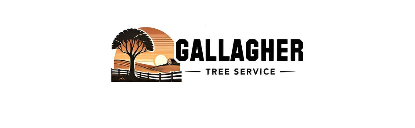 Gallagher Tree Service and Landscape Contracting - Spring City ...