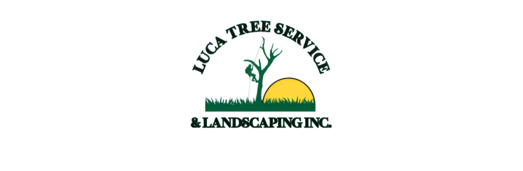 TreeCareHQ - Tree Service Directory - U.S. Tree Care Companies