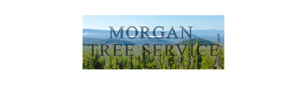 Morgan Tree Service