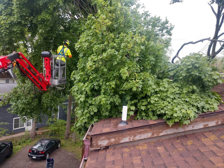 Scarlet Tree Service - Columbus, Ohio - TreeCareHQ